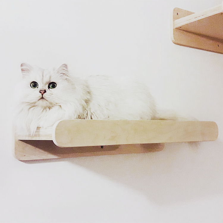 Modular Wall-Mounted Cat Shelf with Replaceable Sisal Scratcher - Pet ...